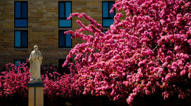 University Announces Major Renovation for Chapel of St. Thomas Aquinas ...