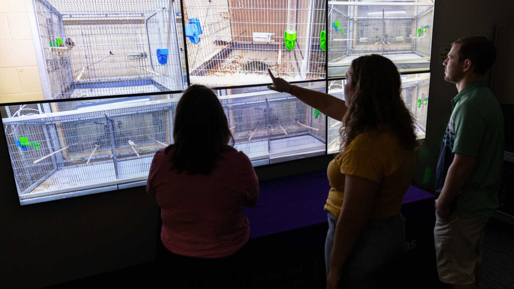 Biology and Computer Science Team Up in 'Avian Soap Opera' - Newsroom | University of St. Thomas