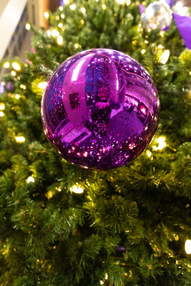 Tree Lighting Ceremony Kicks Off Holiday Season - Newsroom | University ...