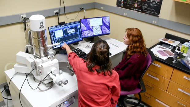 A World of Science: Ancient Art and History Under the St. Thomas ...