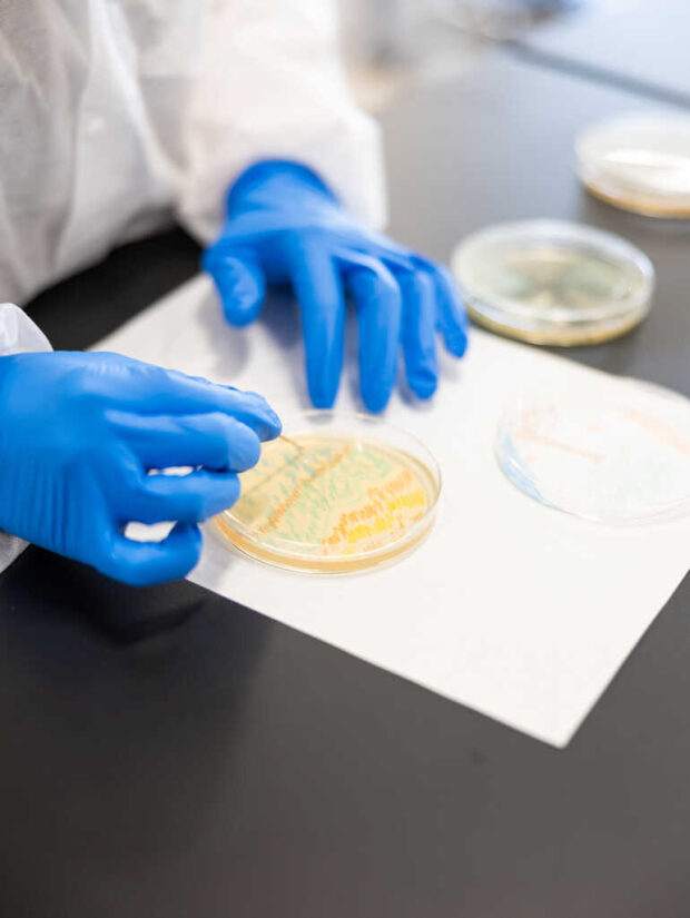 Art History and Microbiology Collaborate in New Project - Newsroom ...