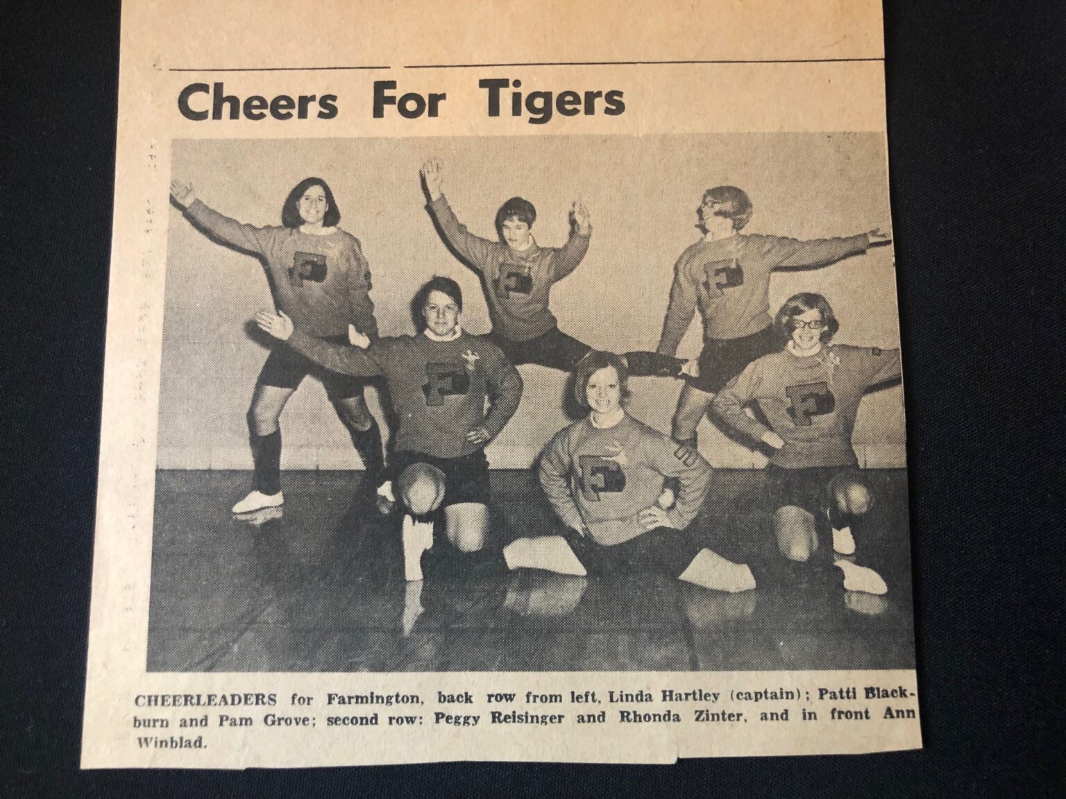 Ann Winblad ’75: A ‘Superstar’ Risk-Taker and Ultimate Cheerleader ...