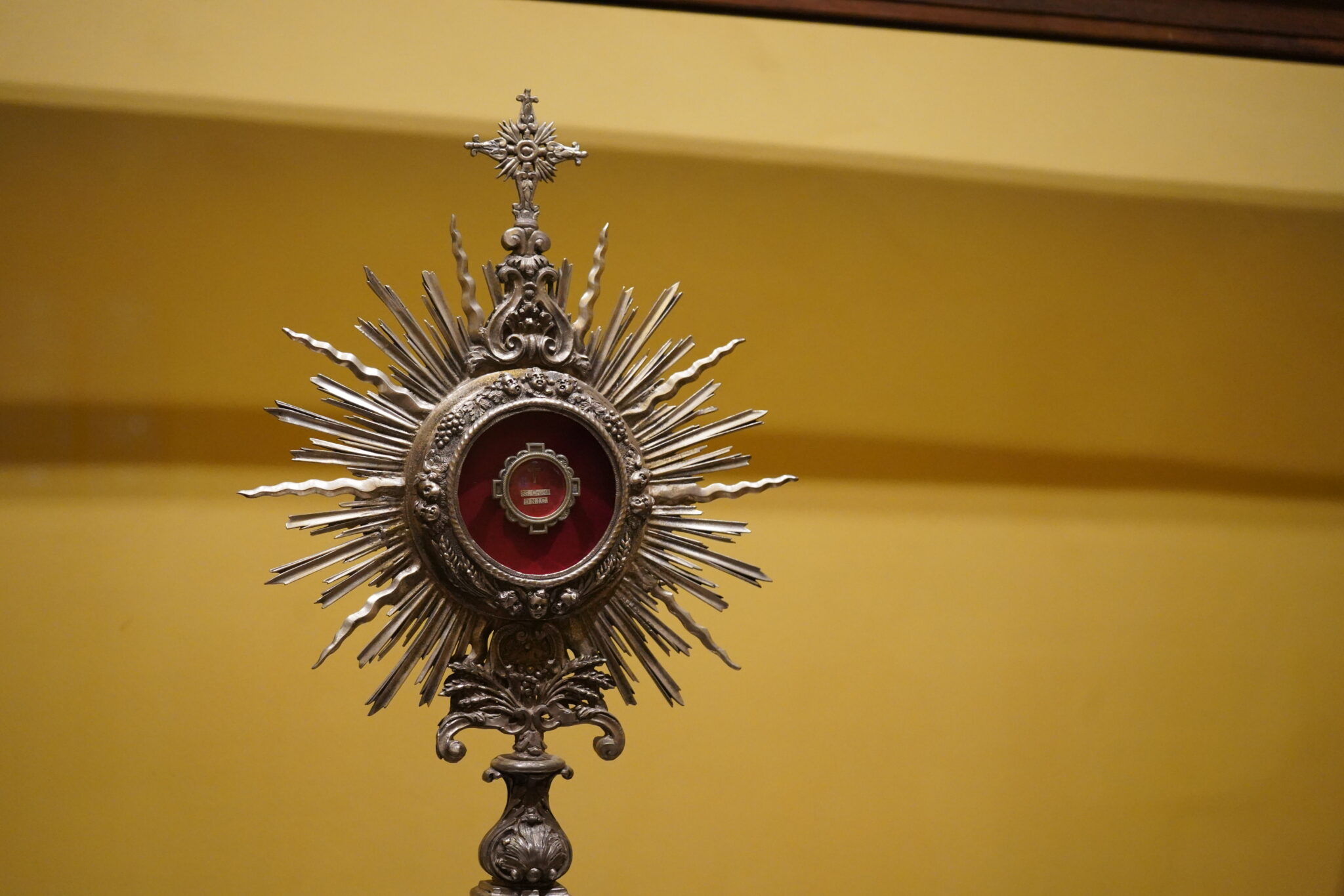 Chapel of St. Thomas Aquinas Unveils Sacred Relics - Newsroom ...