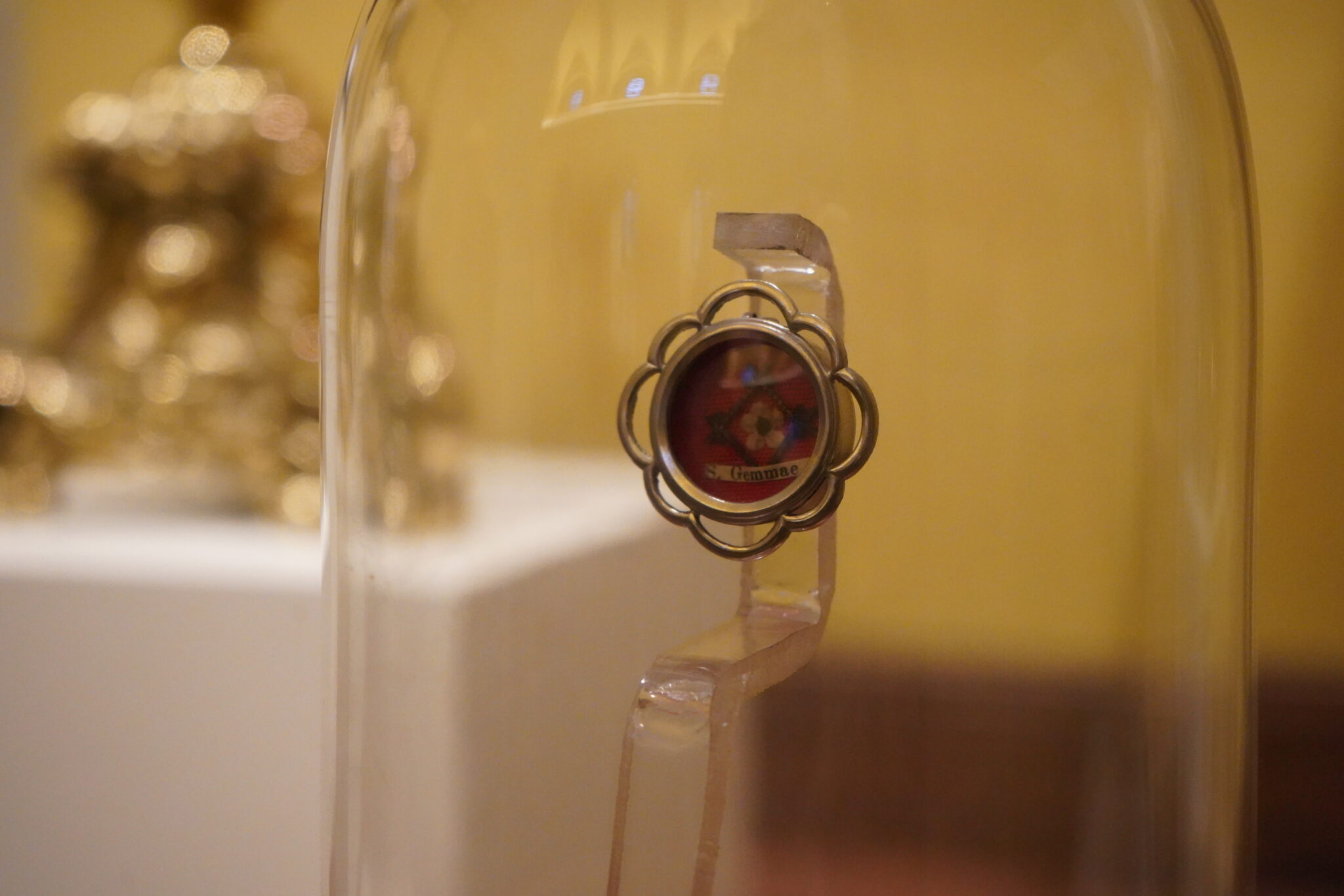 Chapel of St. Thomas Aquinas Unveils Sacred Relics - Newsroom ...