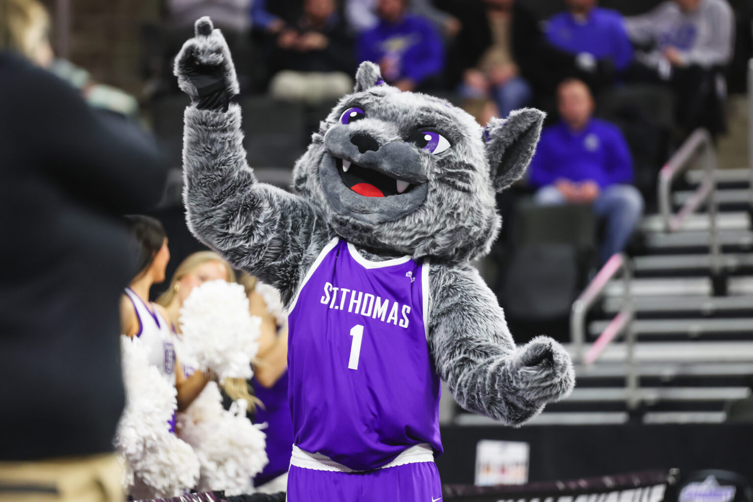 Sights and Sounds: Tommie March Madness at the Summit League ...